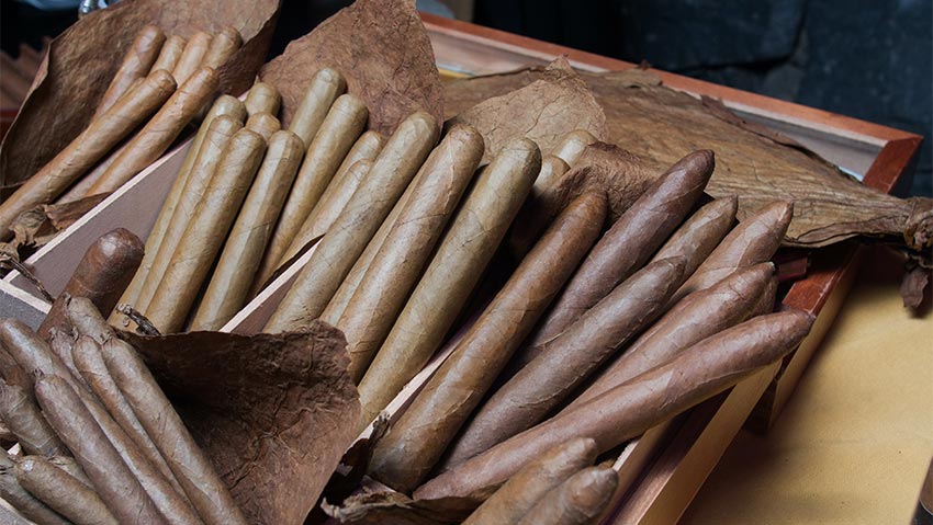 Tot ce trebuie să știi despre trabucurile Cohiba
